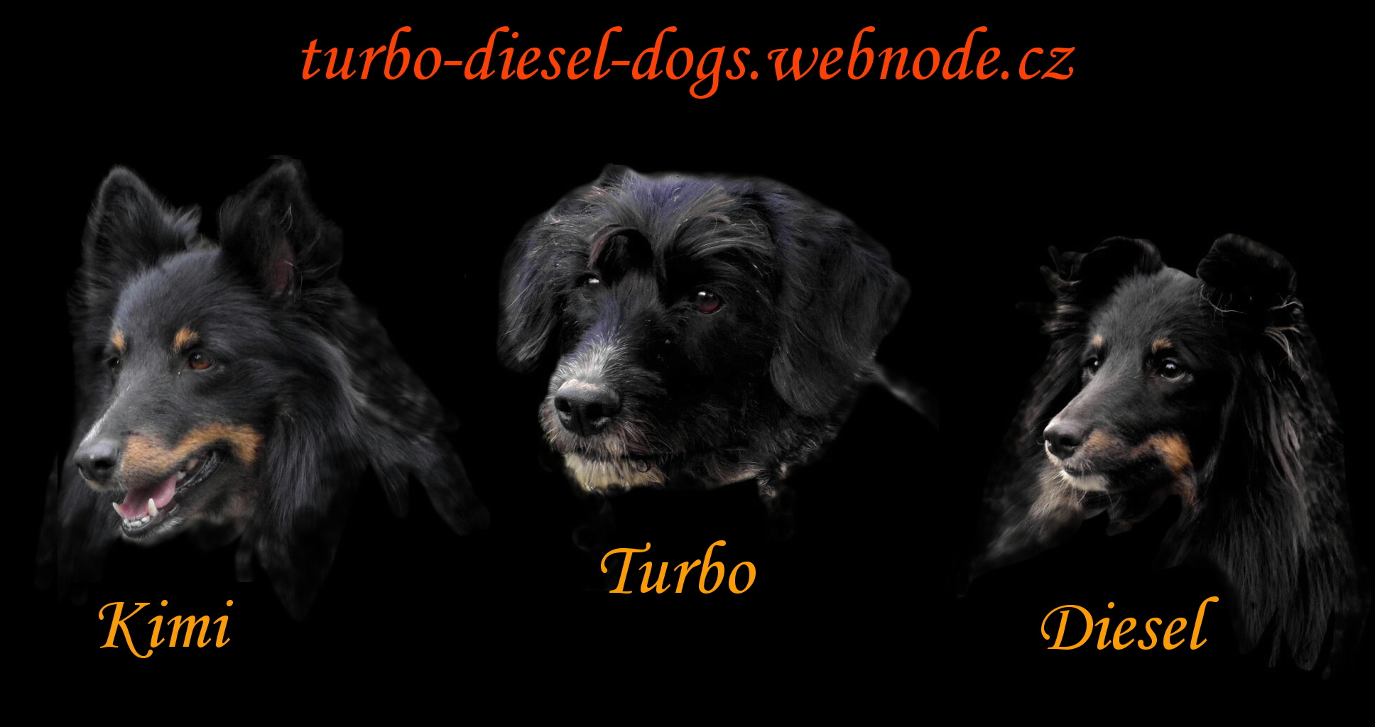 Turbo-Diesel-dogs